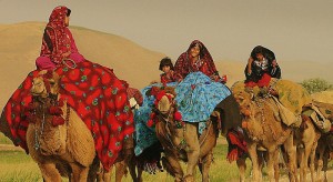 kuchi tribe Archives - NEW CROP